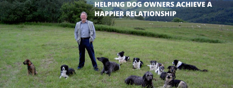 Rewarding dogs landing page - Dog Trainer in Inverness - Rewarding Dogs